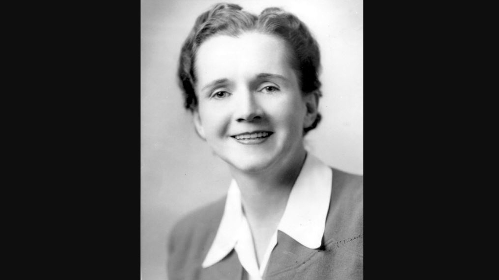 5 Women Scientists Whose Breakthroughs Inspired Generations – Thrive ...