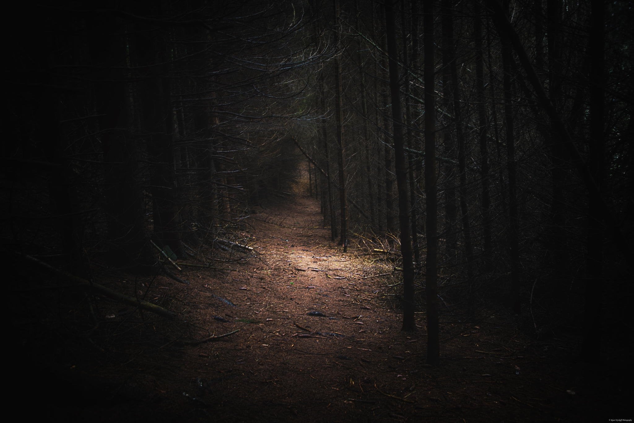 Tread Only Where You Fear The Most - Thrive Global India