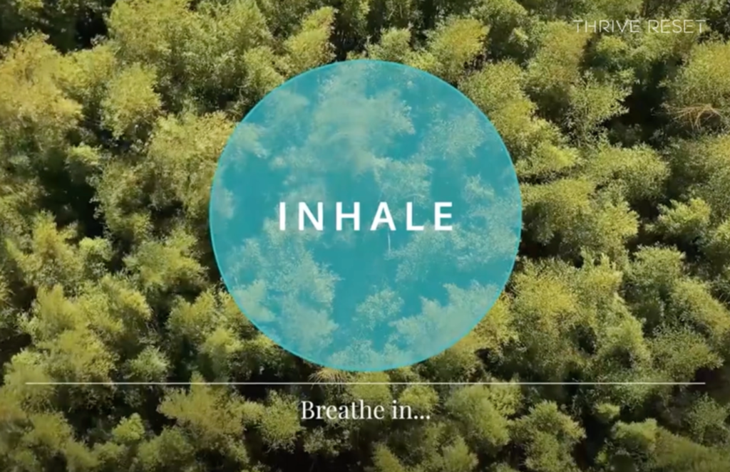 Introducing the Thrive Reset App for Zoom - Thrive Global India